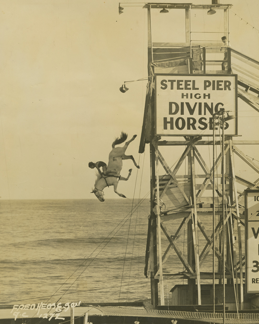 All Stars | Harvard Library