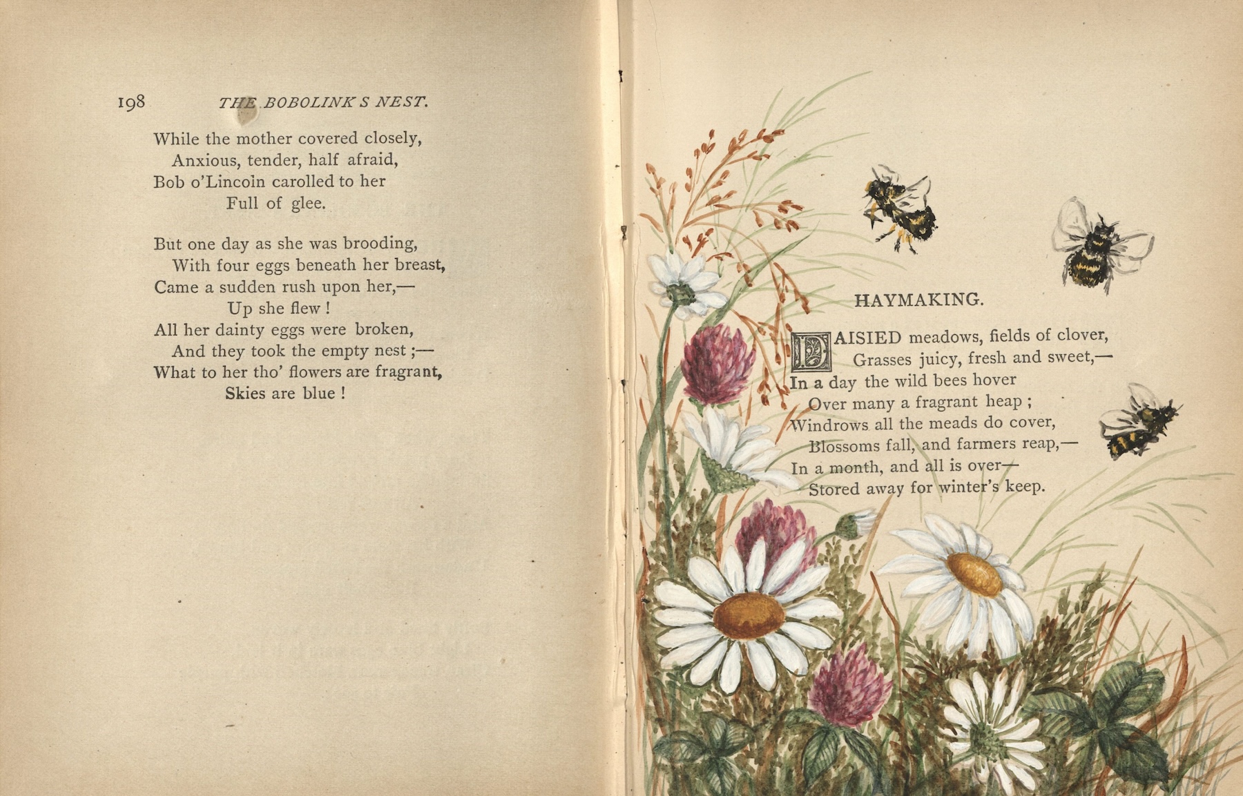 Marks in Books | Harvard Library