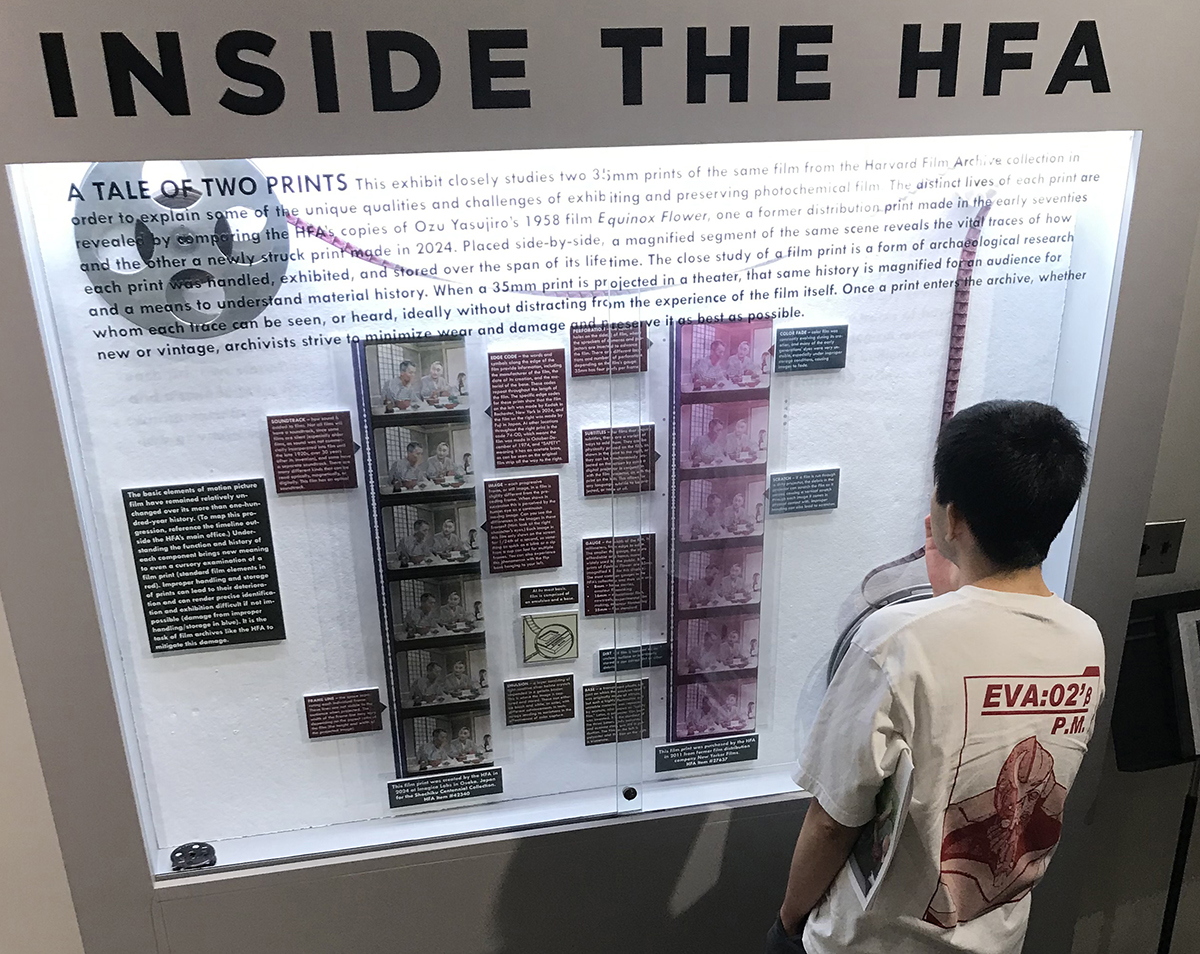 Inside the HFA | Harvard Library
