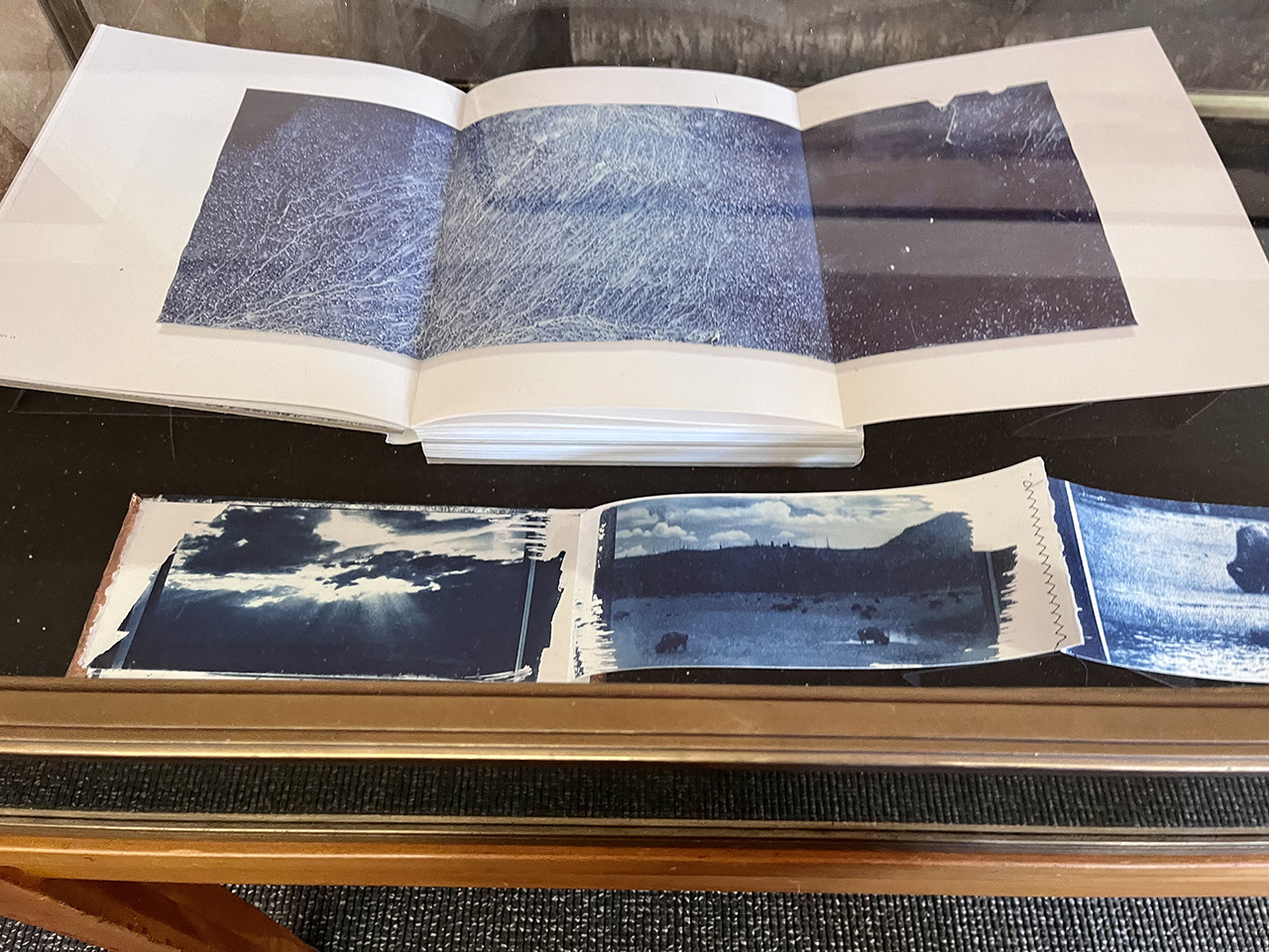 Seeing Blue: Images of Sun Time | Harvard Library