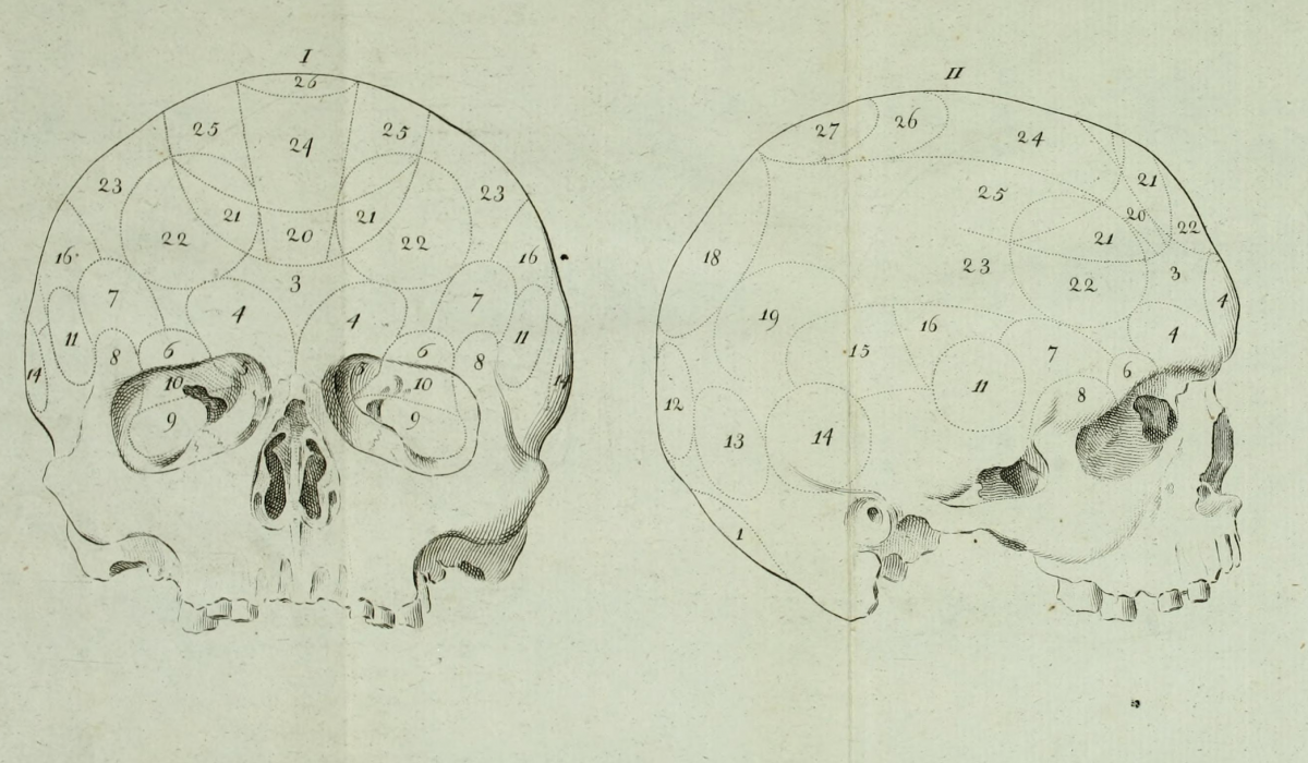Scientific Racism | Harvard Library Scientific Racism | Harvard Library